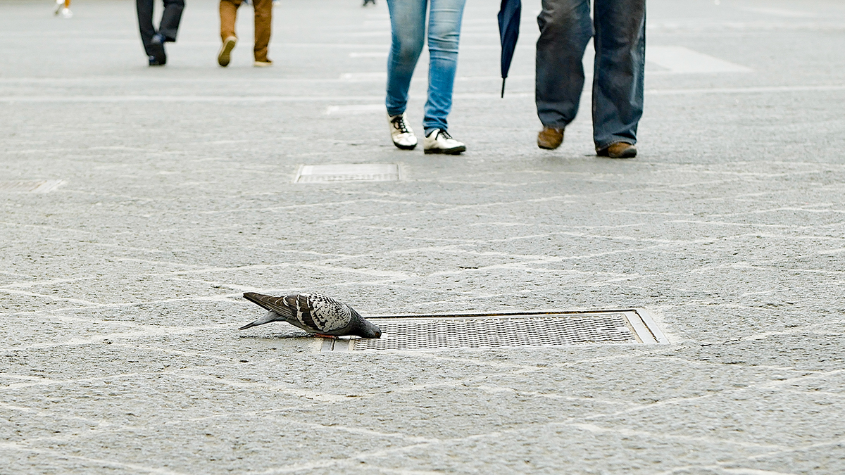 ganz ruhig bleiben! Foto & Bild | europe, italy, vatican city, s marino ...