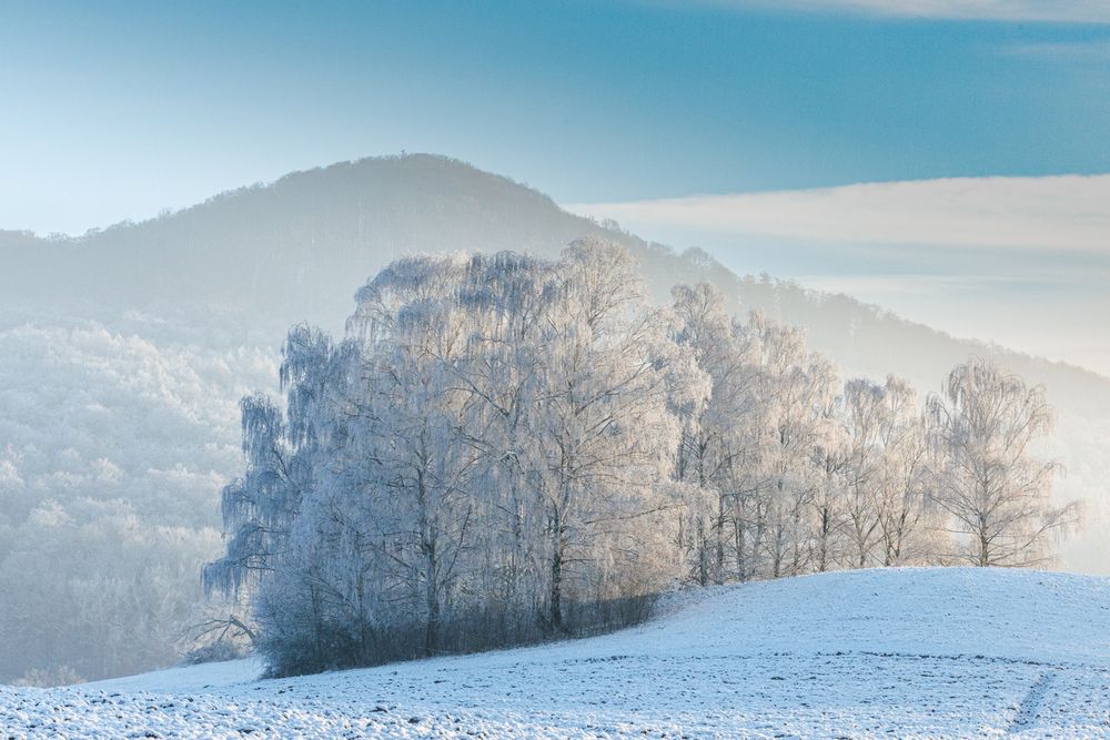 Ganz schön kalt Foto & Bild | landschaft, jahreszeiten, winter Bilder auf fotocommunity