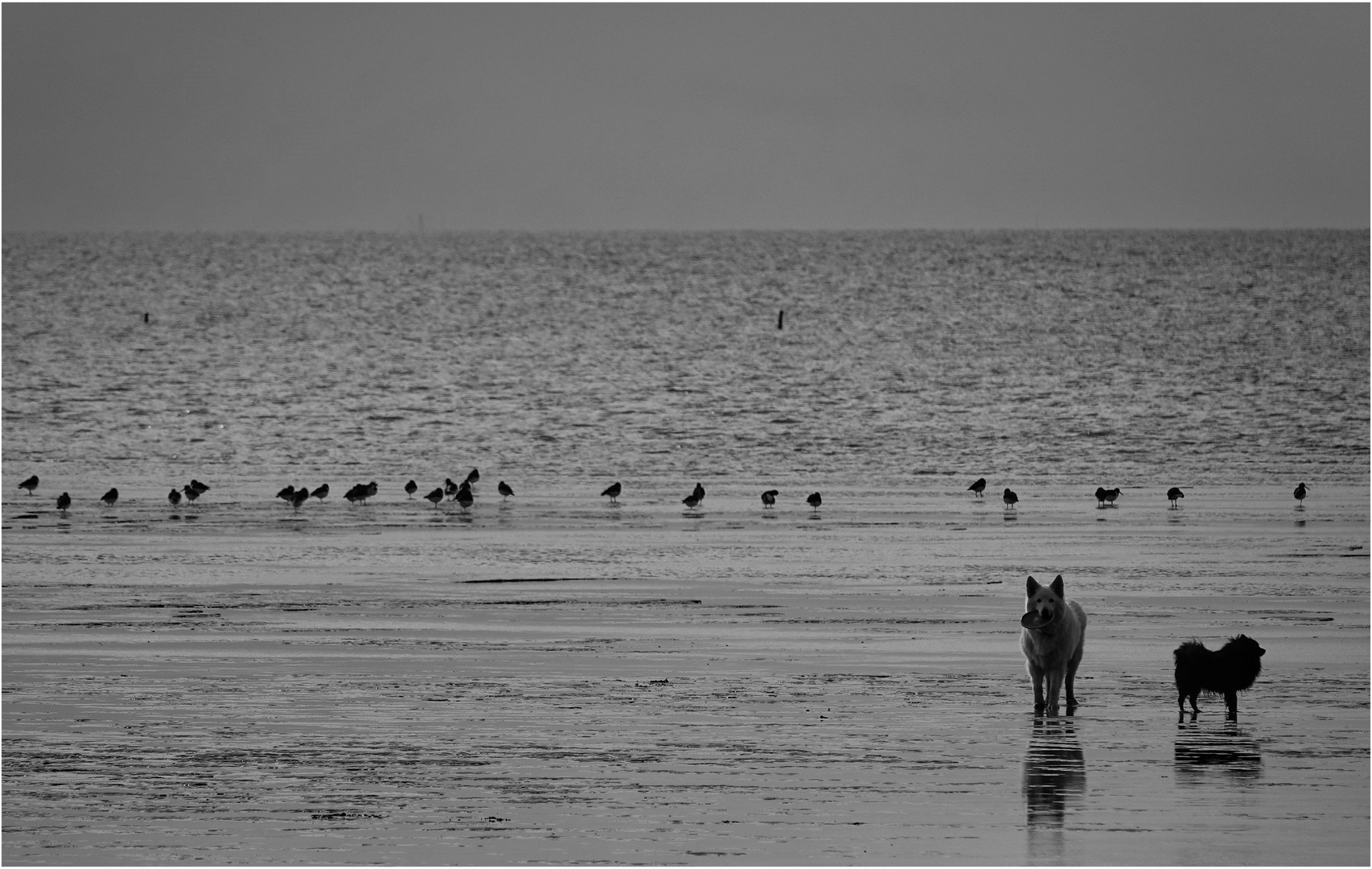ganz viel wenig - nichts Foto & Bild | deutschland, europe, schleswig ...