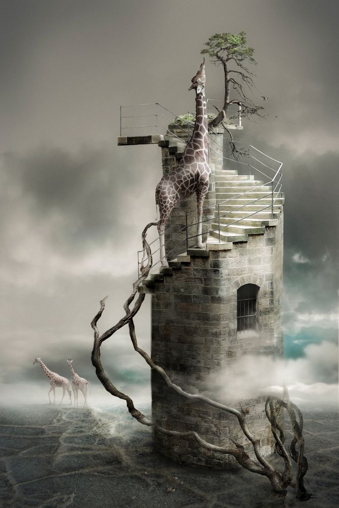 Gar nicht so leicht ! Foto & Bild | fotomontage, surreal, fun Bilder auf fotocommunity