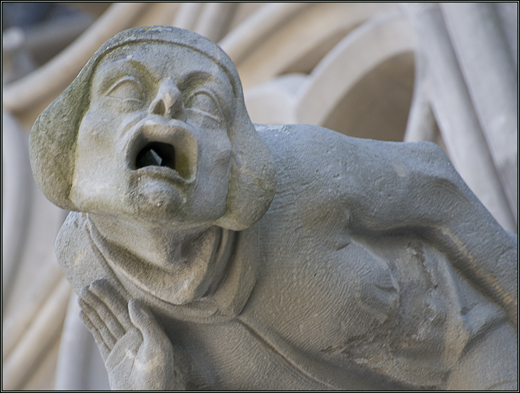 Gargouille photo et image | architecture, architecture religieuse ...