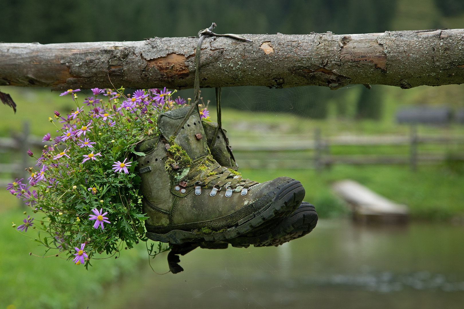 Gartendeko 5 Foto & Bild | sonstiges, naturkunst, gestalten mit blumen ...