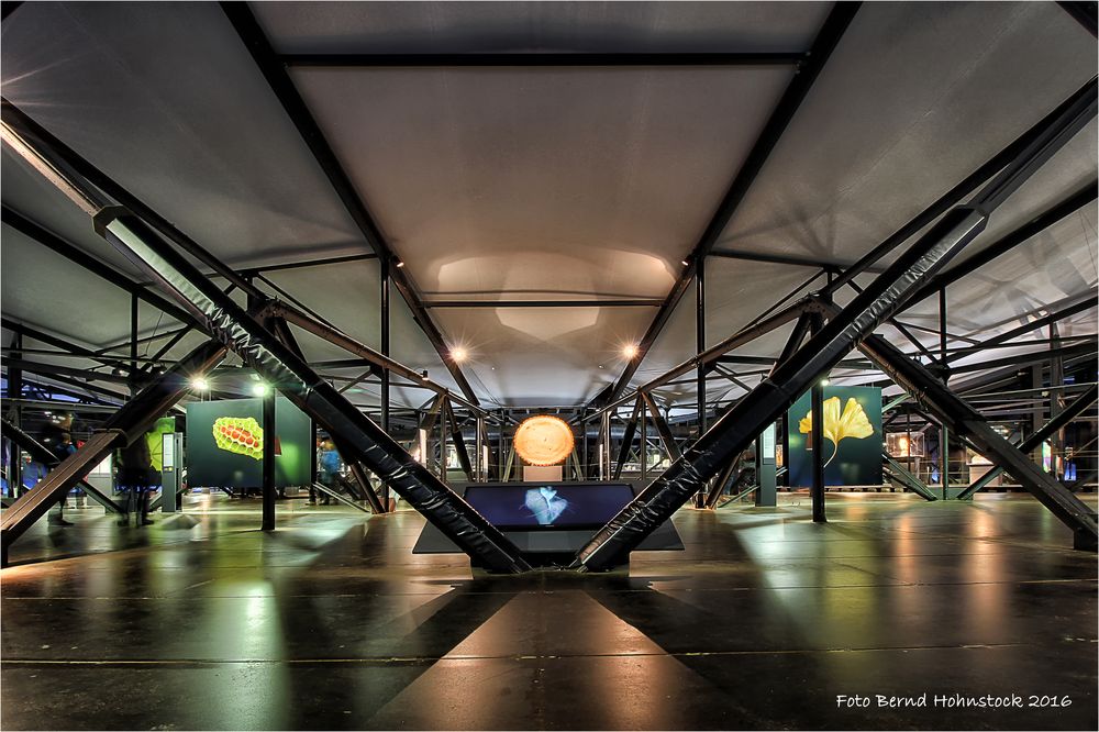 Gasometer Oberhausen .... Wunder der Natur 2016 Foto & Bild ...