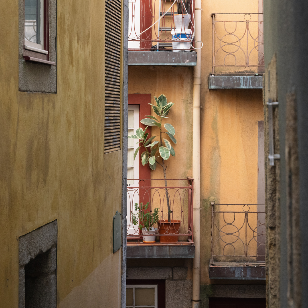 Gassen Foto & Bild | streetfotografie mit menschen, porto, streetfotografie Bilder auf fotocommunity