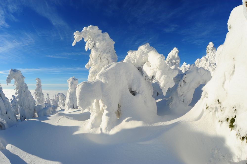 Gassi Foto & Bild | deutschland, europe, sachsen- anhalt Bilder auf ...