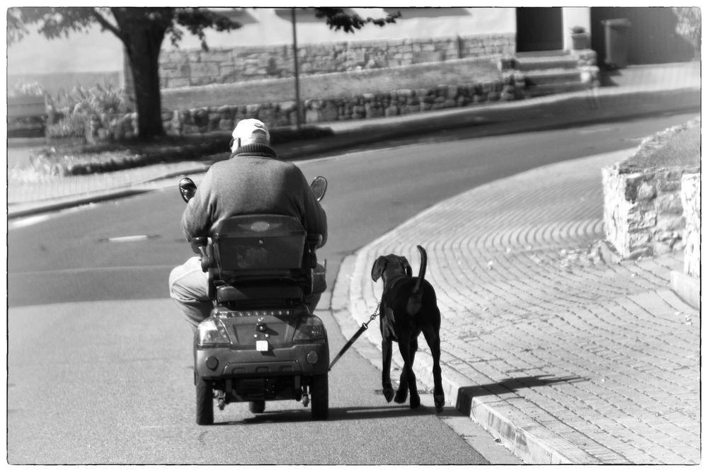 Gassi fahren Foto & Bild | erwachsene menschen, tiere, projekte Bilder auf fotocommunity