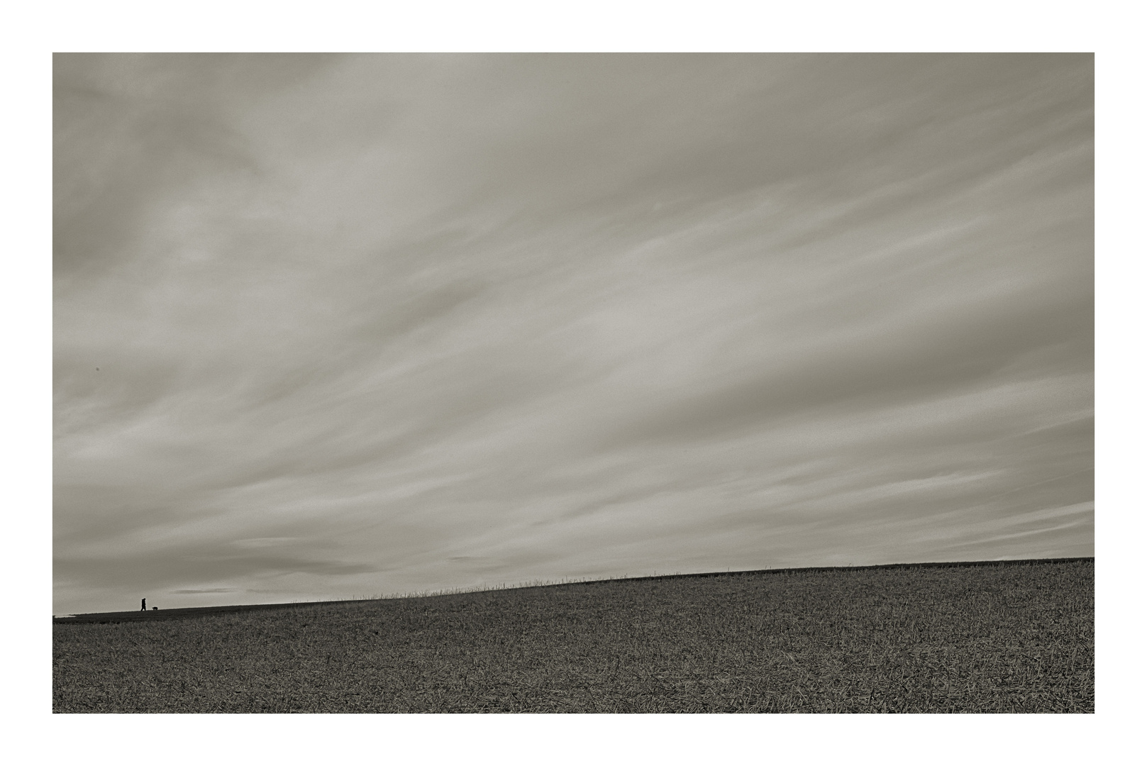 Gassi gehen Foto & Bild | landschaft, konzept- fotografie, projekte Bilder auf fotocommunity