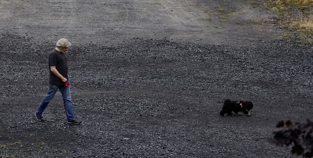 Gassi gehen------ Foto & Bild | erwachsene menschen, tiere, haustiere Bilder auf fotocommunity