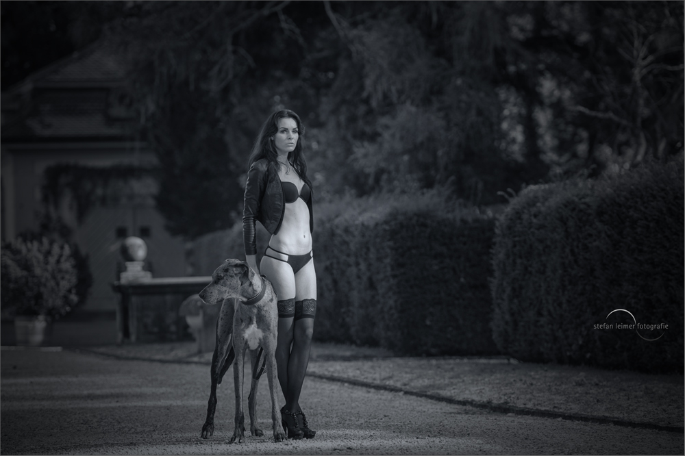 Gassi gehen Foto & Bild | outdoor, hund, portrait Bilder auf fotocommunity