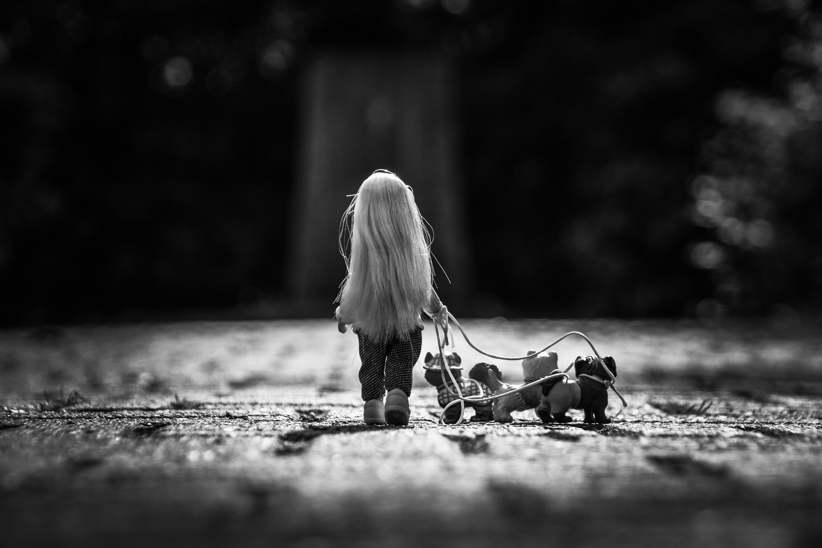 Gassi gehen Foto & Bild | art, schwarzweiss, fineart Bilder auf fotocommunity