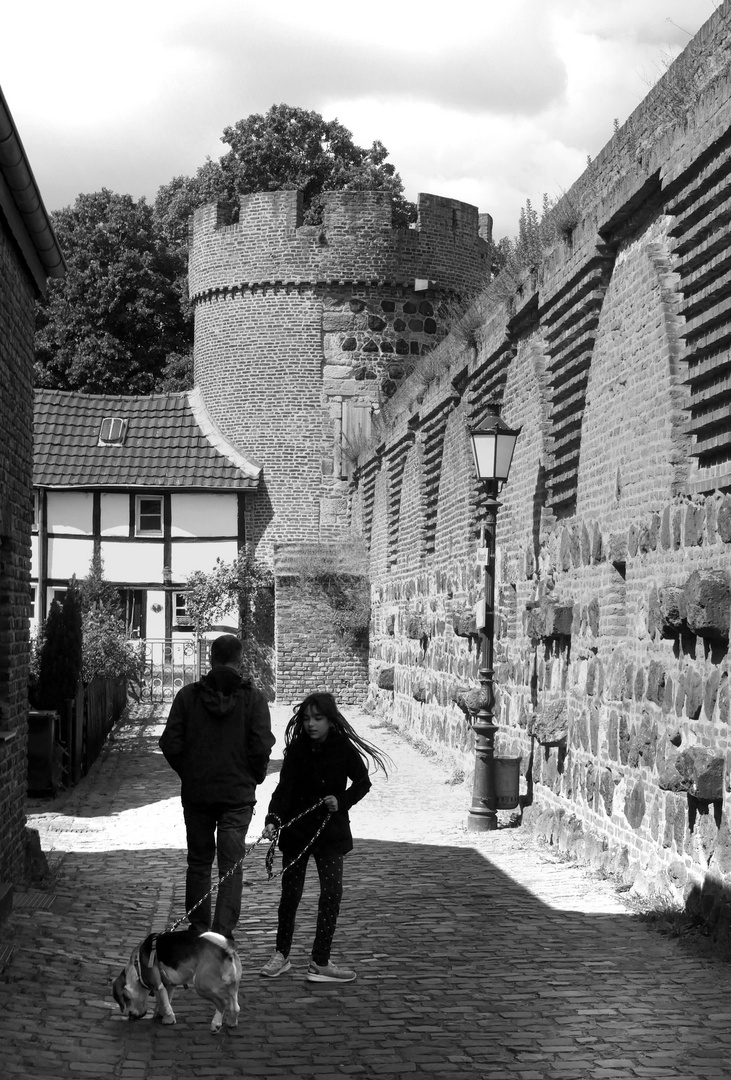 Gassi gehen Foto & Bild | sonne, schatten, hund Bilder auf fotocommunity