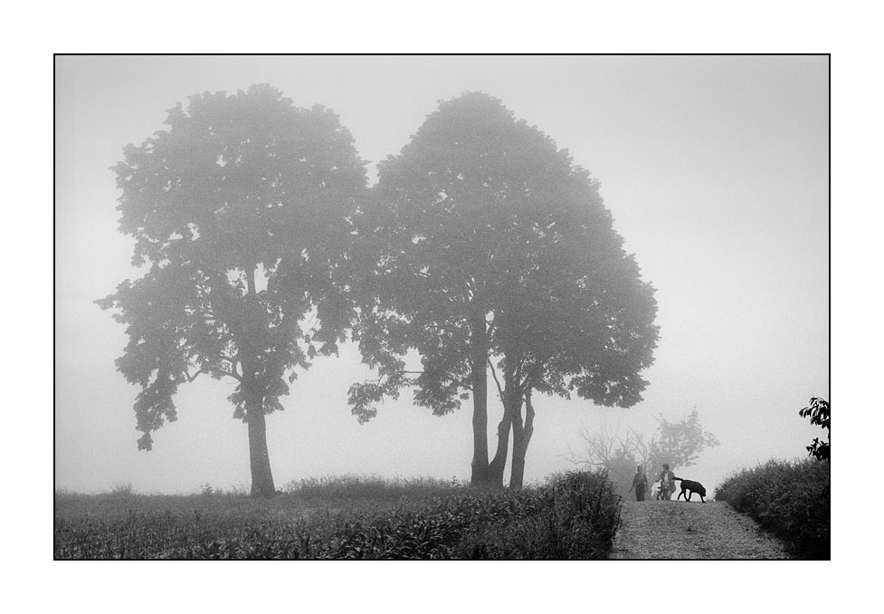 Gassi gehen Foto & Bild | landschaft, spezial Bilder auf fotocommunity