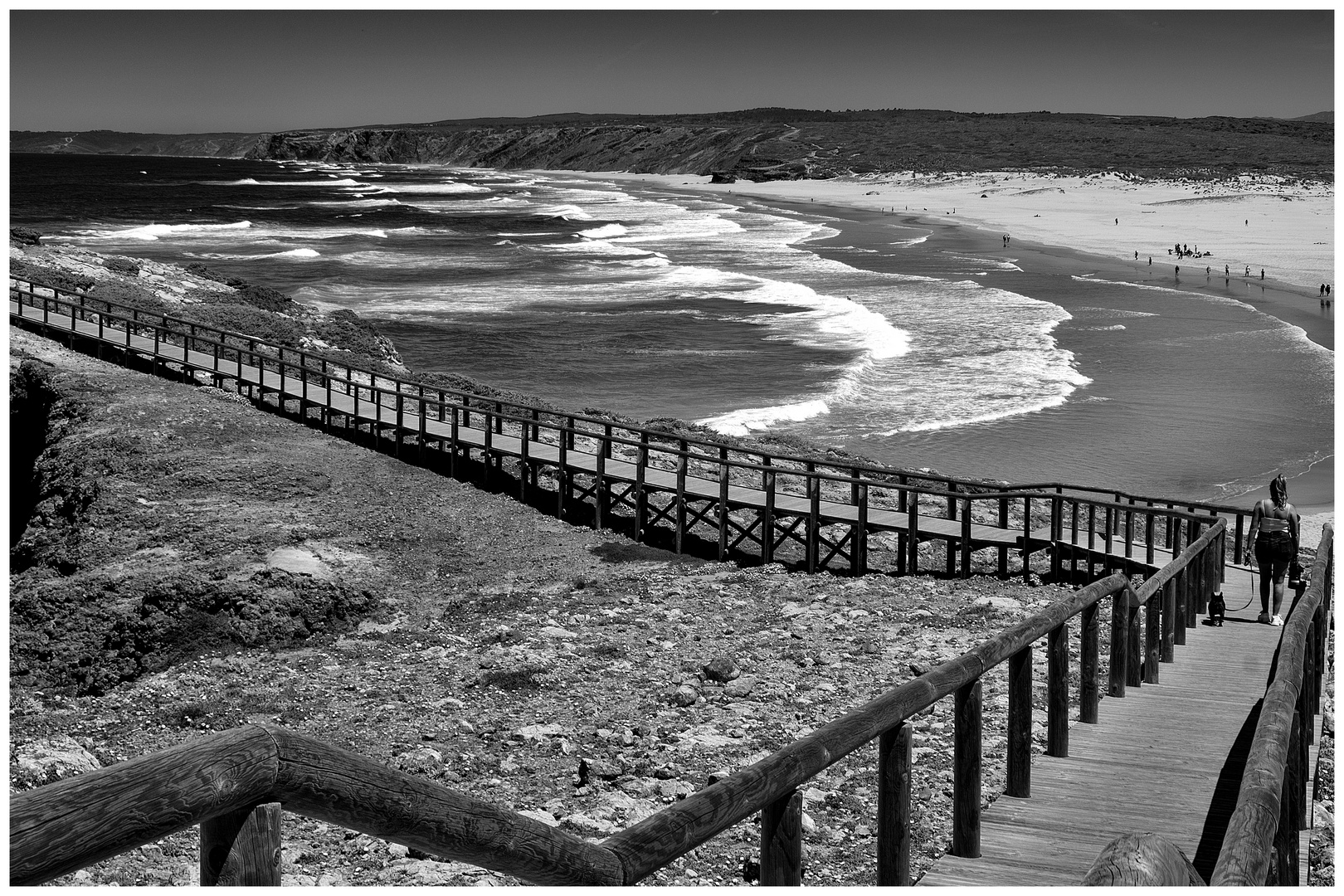 Gassi gehen... Foto & Bild | europe, portugal, tiere Bilder auf fotocommunity