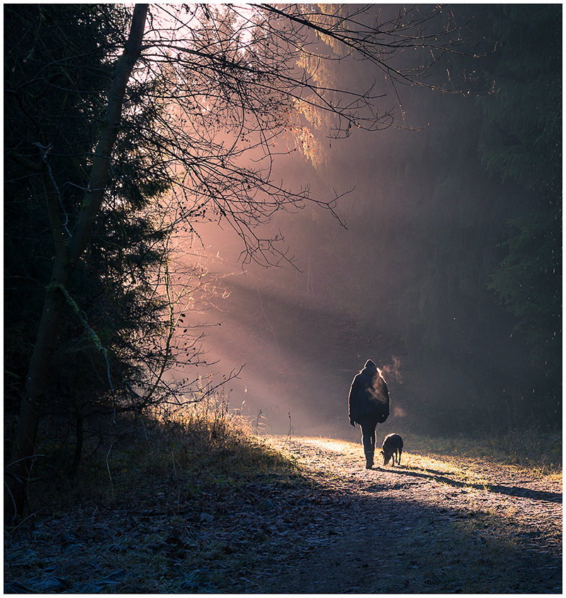 Gassi gehen Foto & Bild | tiere, landschaft, tier und mensch Bilder auf fotocommunity
