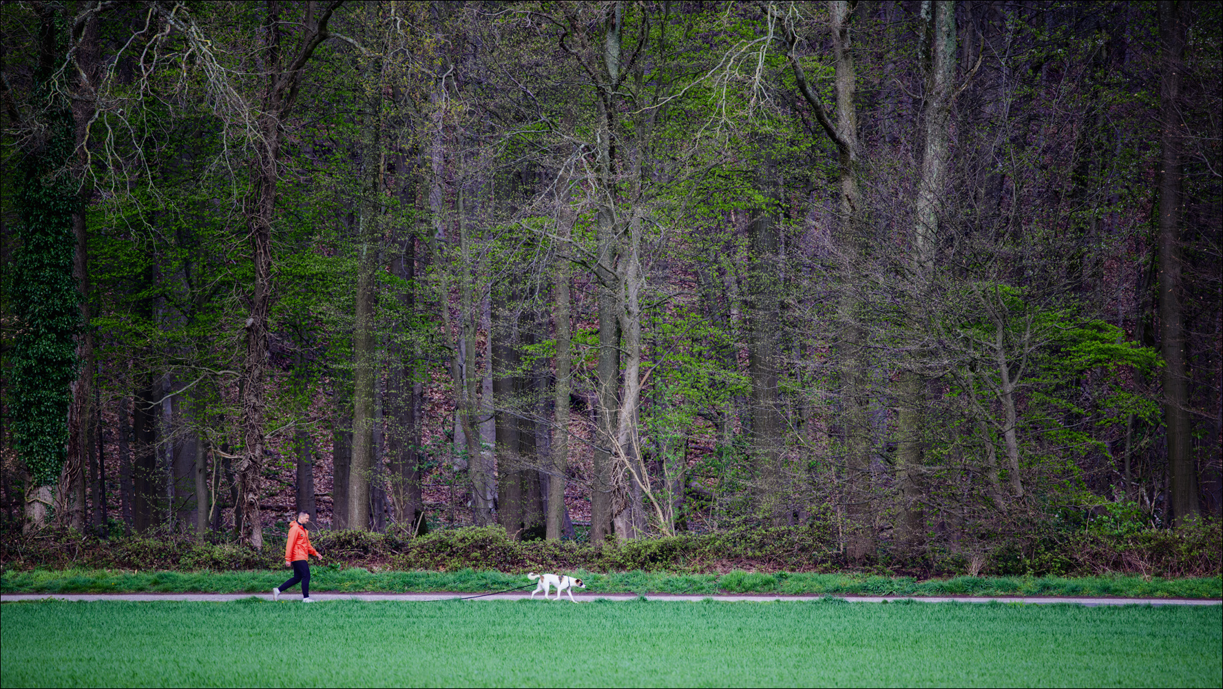 Gassi gehen Foto & Bild | menschen, menschen in der freizeit, alltagsereignisse Bilder auf ...