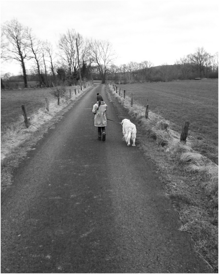 Gassi gehen Foto & Bild | hund, natur, menschen Bilder auf fotocommunity