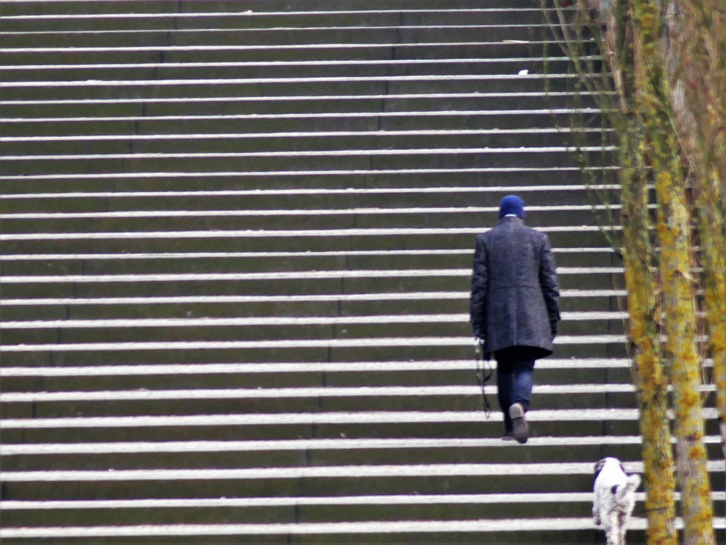 Gassi gehen. Foto & Bild | reportage, motive Bilder auf fotocommunity