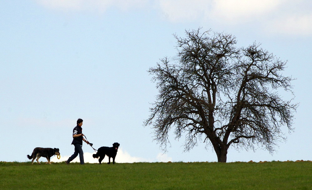 Gassi gehen Foto & Bild | erwachsene, menschen in der freizeit, menschen Bilder auf fotocommunity