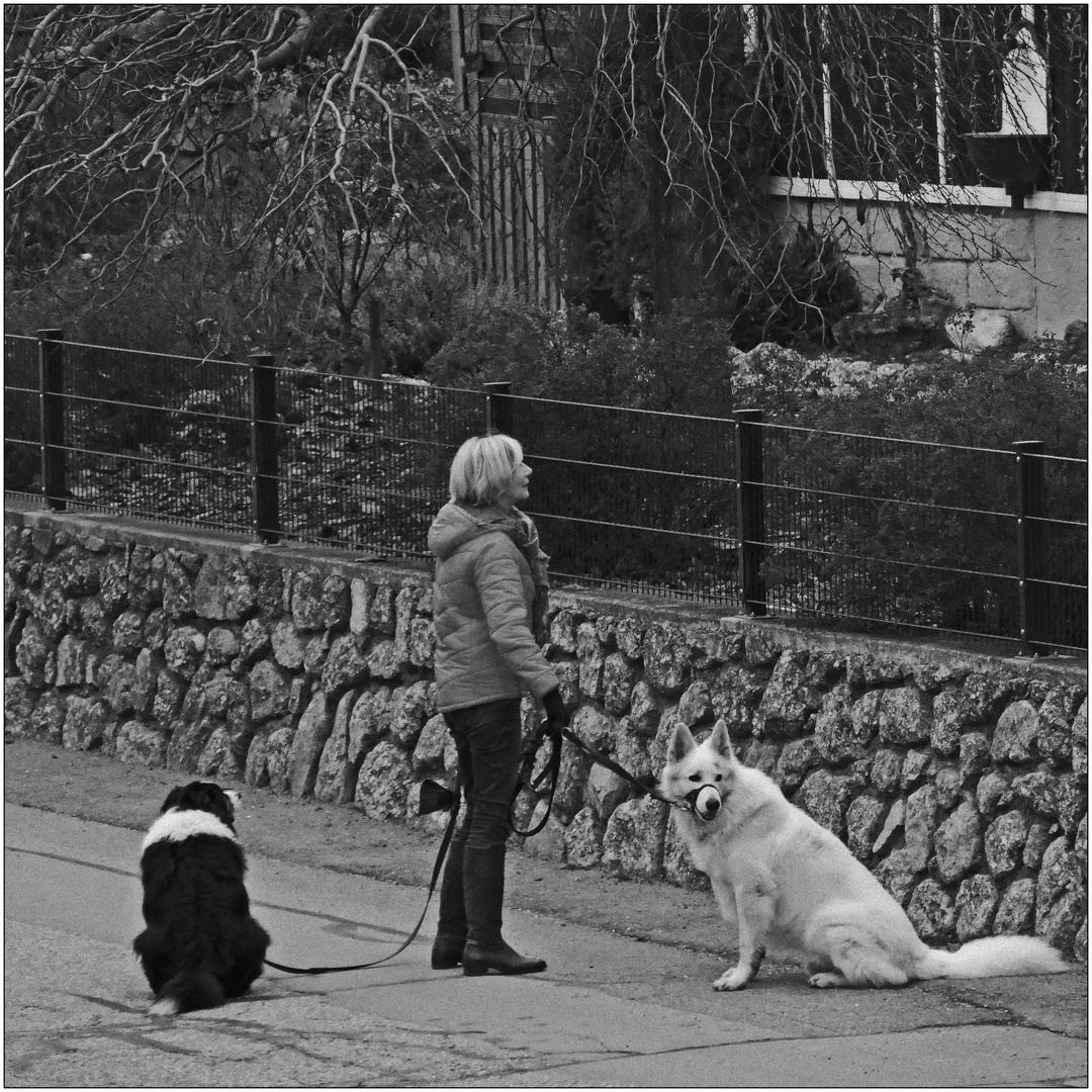 Gassi gehen Foto & Bild | erwachsene menschen, streetfotografie mit menschen, street: spontane ...