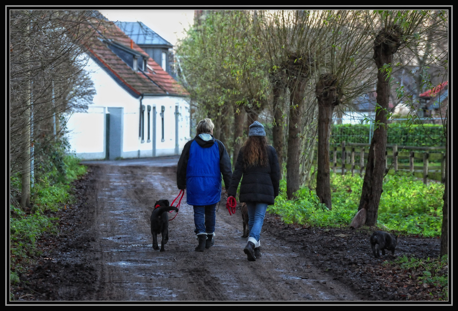 Gassi gehen Foto & Bild | erwachsene menschen, menschen in der freizeit, menschen Bilder auf ...