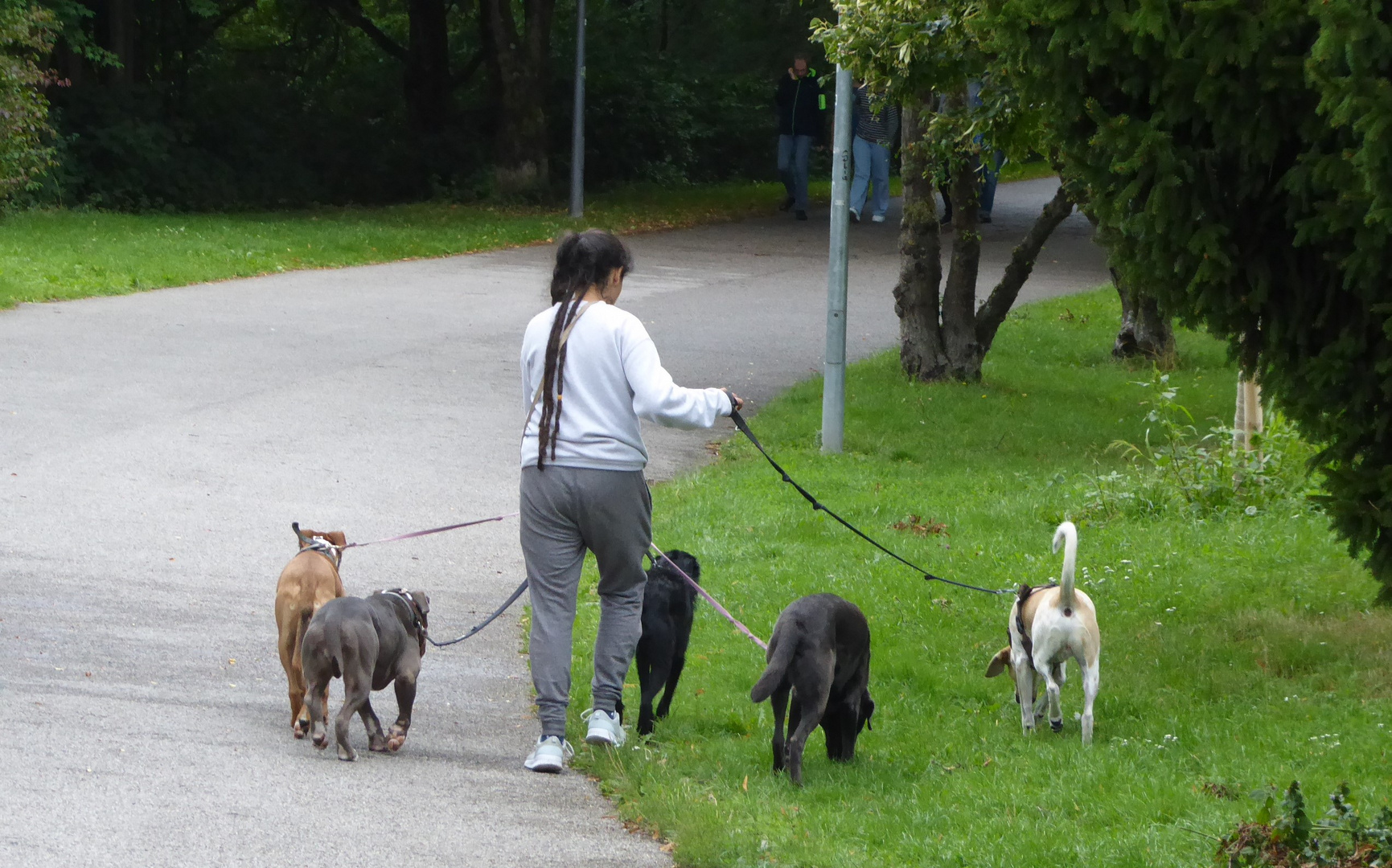 Gassi Runde..... Foto & Bild | tiere, spezial, dokumentation Bilder auf fotocommunity