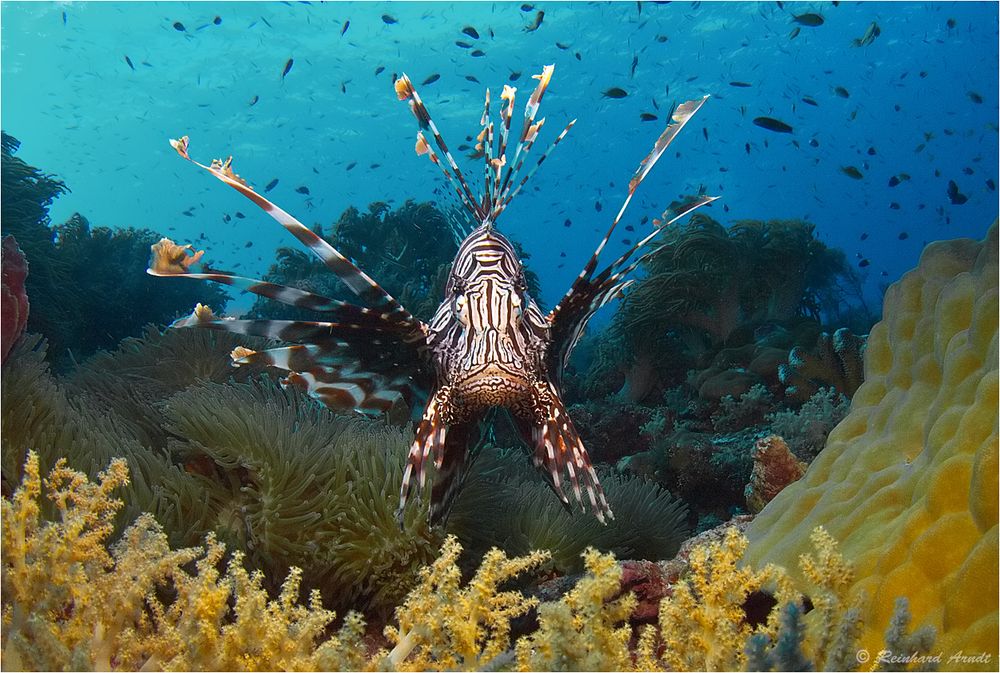 Geblendet.... Foto & Bild | world, meer, natur Bilder auf fotocommunity