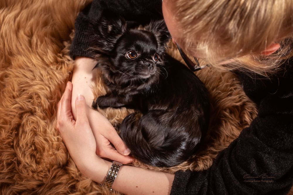 * Geborgenheit * Foto & Bild | erwachsene menschen, tiere, haustiere Bilder auf fotocommunity