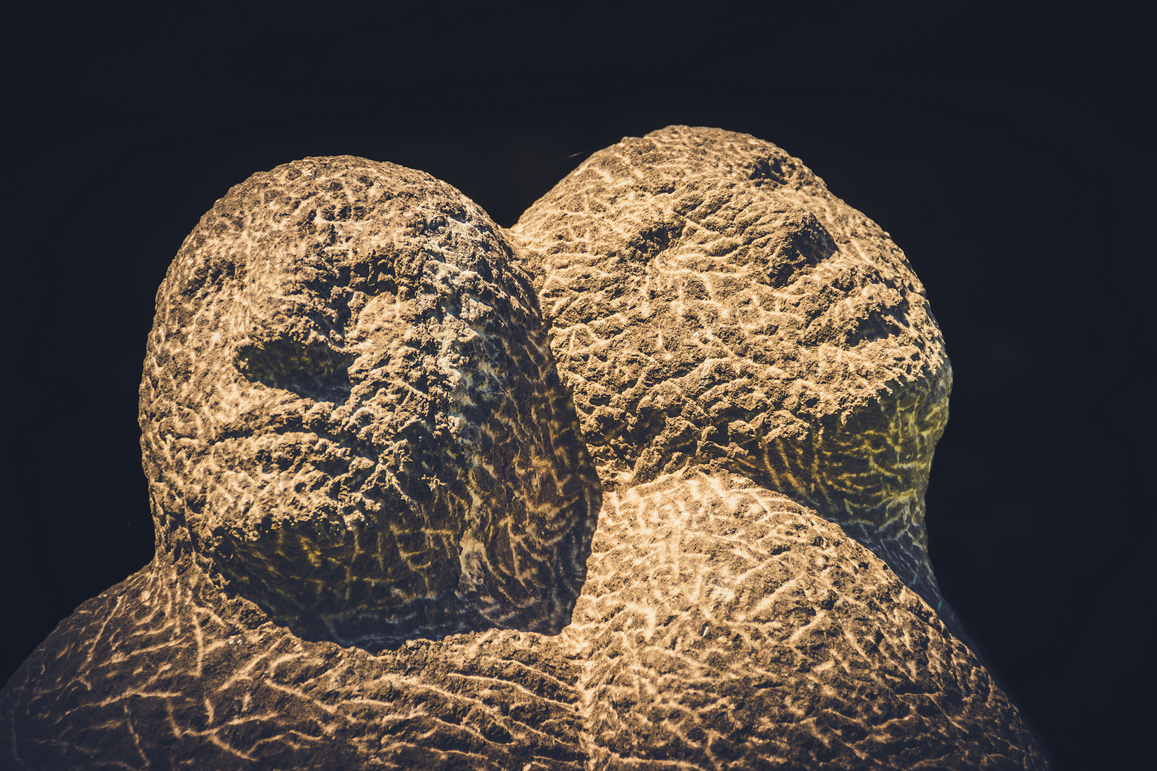 Gedenk-Moment Foto & Bild | dokumentation, outdoor, sonne Bilder auf ...