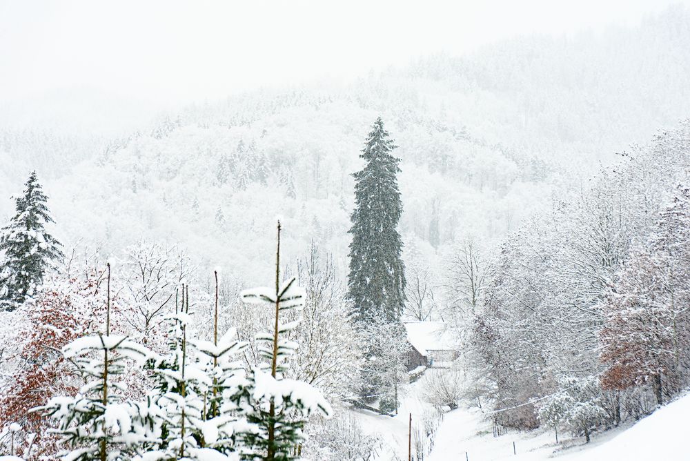 Geduld Foto & Bild | art, fenster, winter Bilder auf fotocommunity