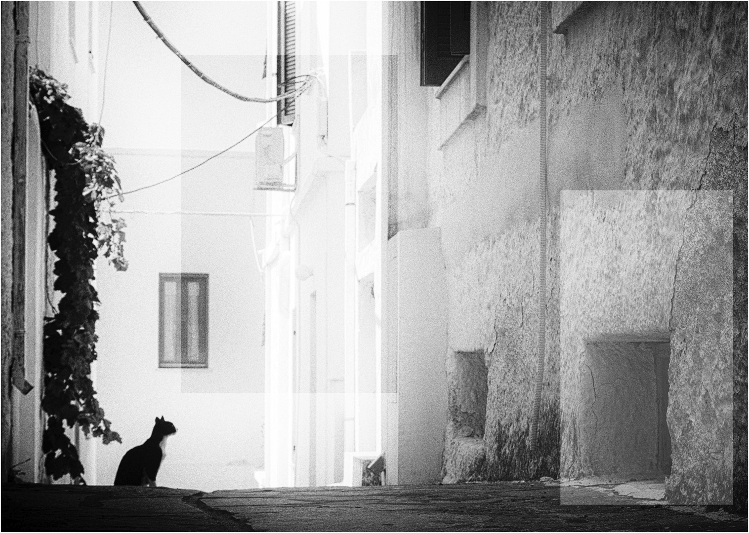 Geduld Foto & Bild | spezial, sw, natur Bilder auf fotocommunity