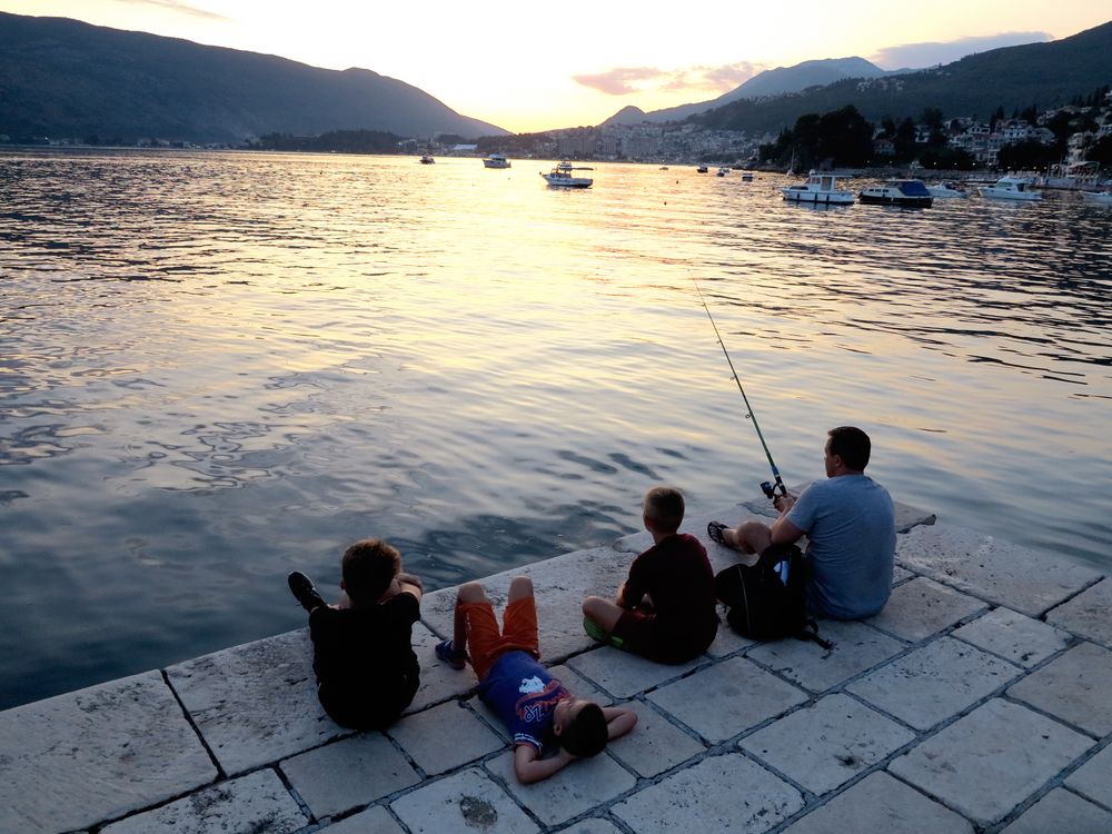 Geduld, Geduld ... Foto & Bild | world, sommer, outdoor Bilder auf ...