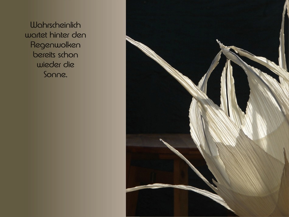 Geduld, Geduld... Foto & Bild | karten und kalender, karten 2008 ...