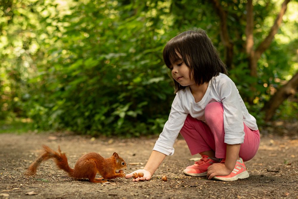 Geduld zahlt sich aus Foto & Bild | park, outdoor, eichhörnchen Bilder ...