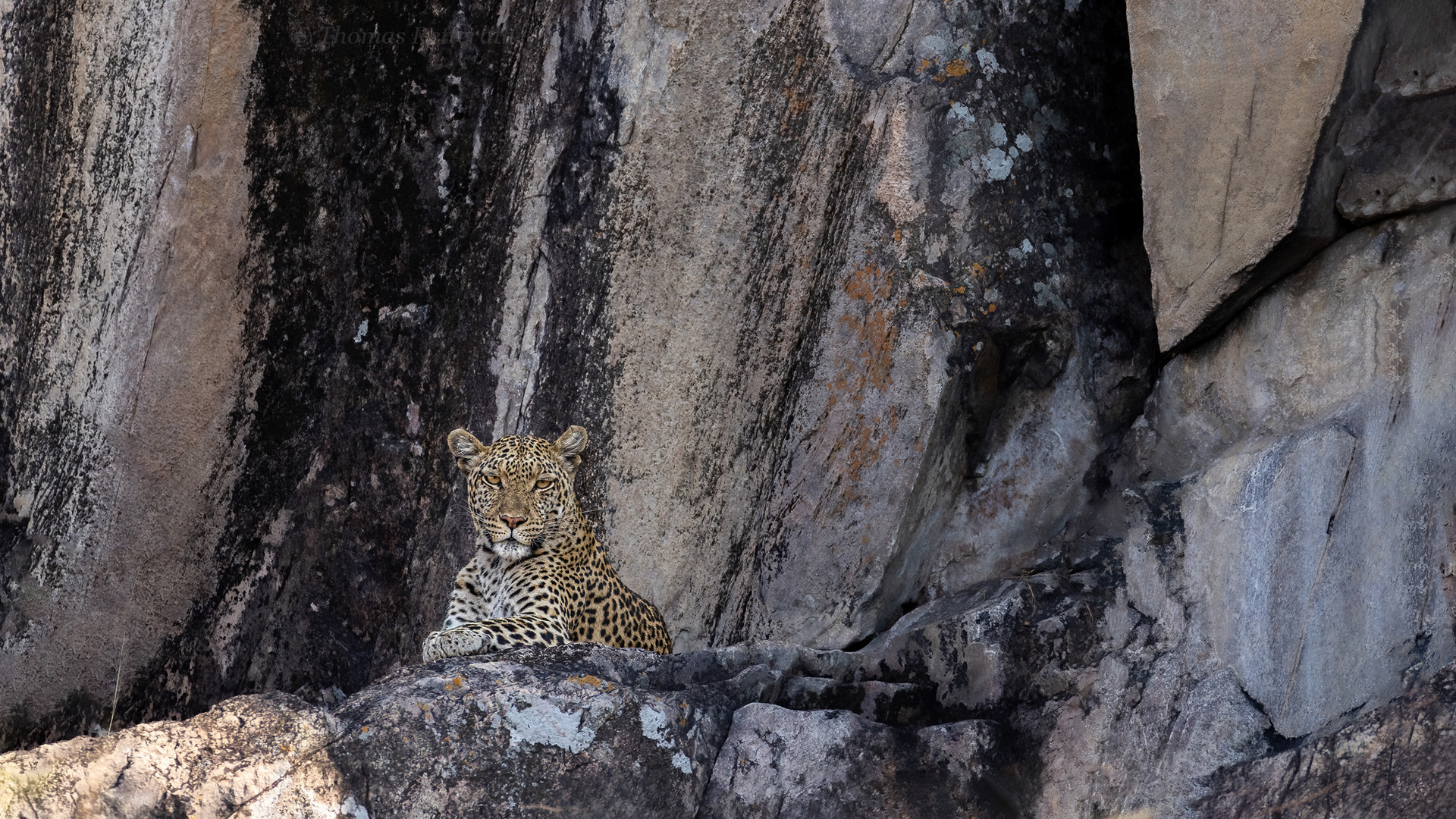 Geduld zahlt sich aus, Teil 2 Foto & Bild | fotos, world, natur Bilder ...