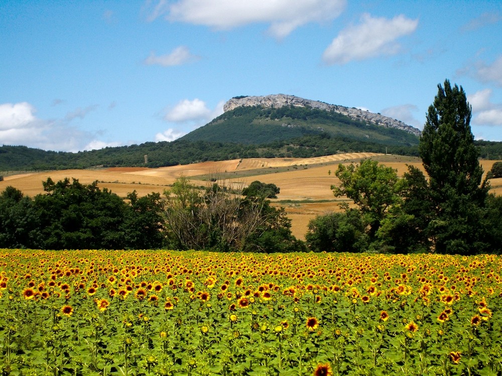 Gegend bei Genevilla, Navarra Foto & Bild | landschaft, Äcker, felder ...