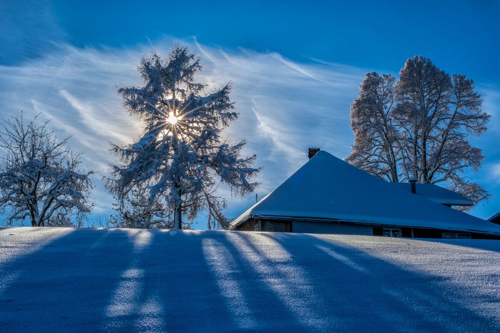 Gegenlicht Foto & Bild | landschaft, jahreszeiten, lebensräume Bilder auf fotocommunity