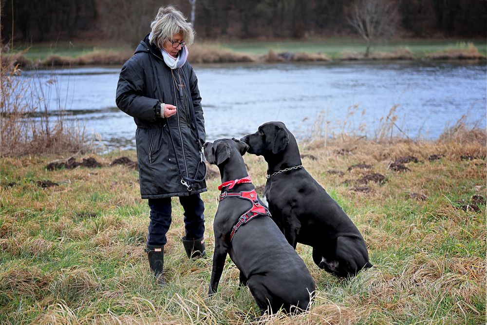 Gehorsam..... Foto & Bild | erwachsene menschen, tiere, tier und mensch ...