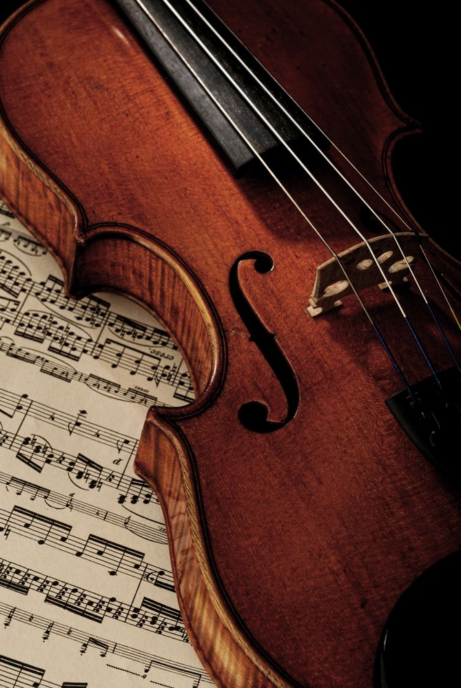 Geige Foto & Bild | stillleben, arrangierte szenen, musik Bilder auf ...