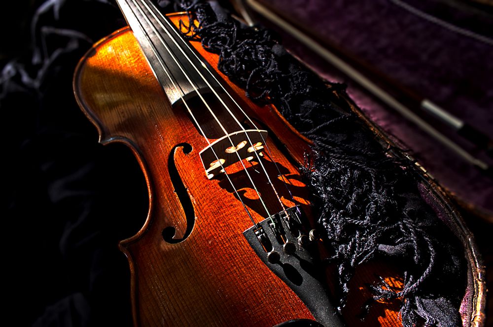 Geige Foto & Bild | stillleben, arrangierte szenen, musik und menschen ...