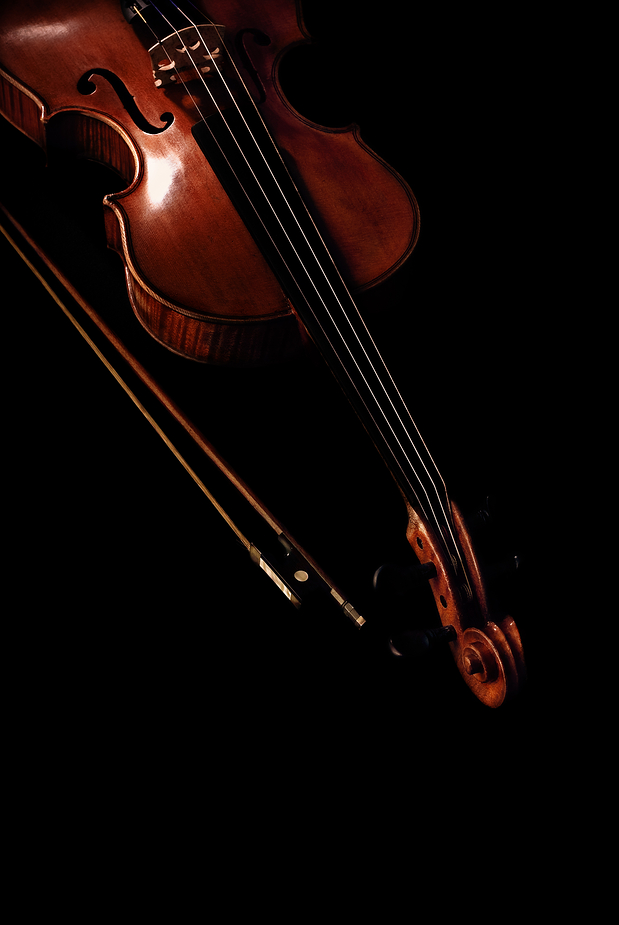 Geige mit Bogen Foto & Bild | stillleben, arrangierte szenen, musik ...