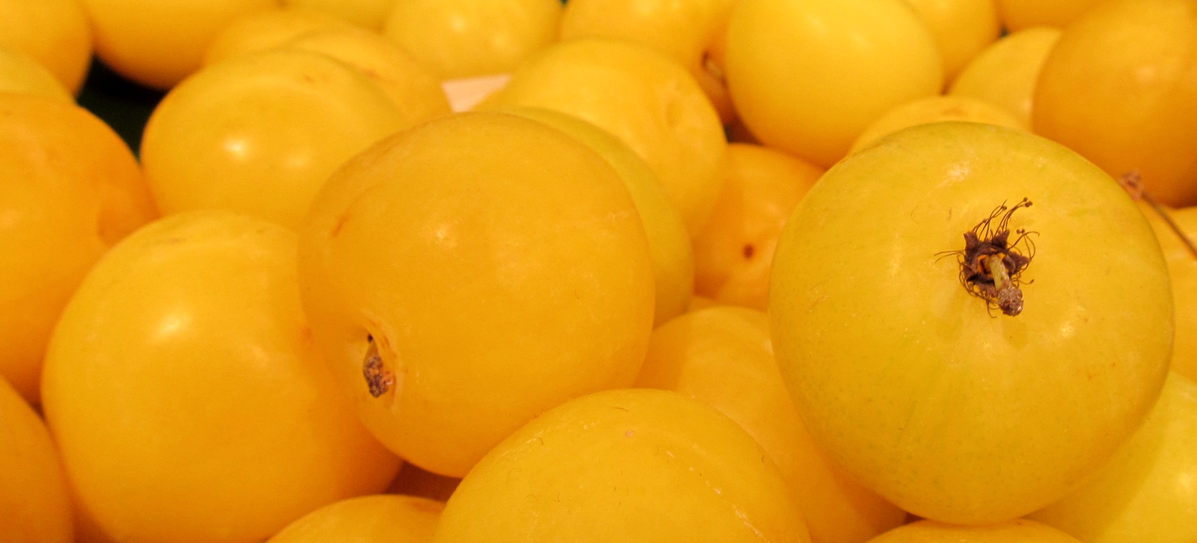 gelb Foto & Bild | gelb, natur, frucht Bilder auf fotocommunity