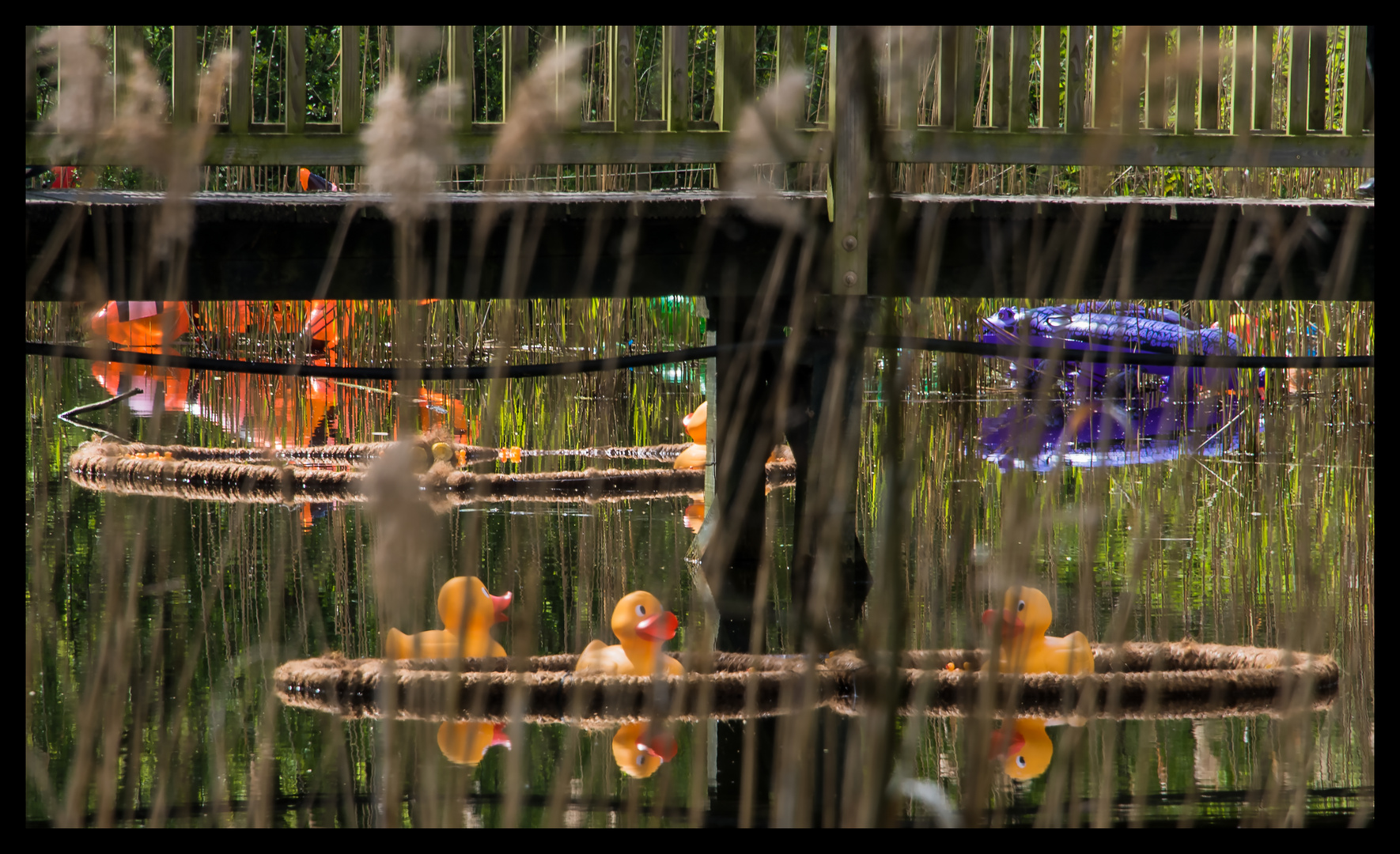 gelbe Entchen und ein blaues Krokodil Foto & Bild | fotos, art, spezial ...