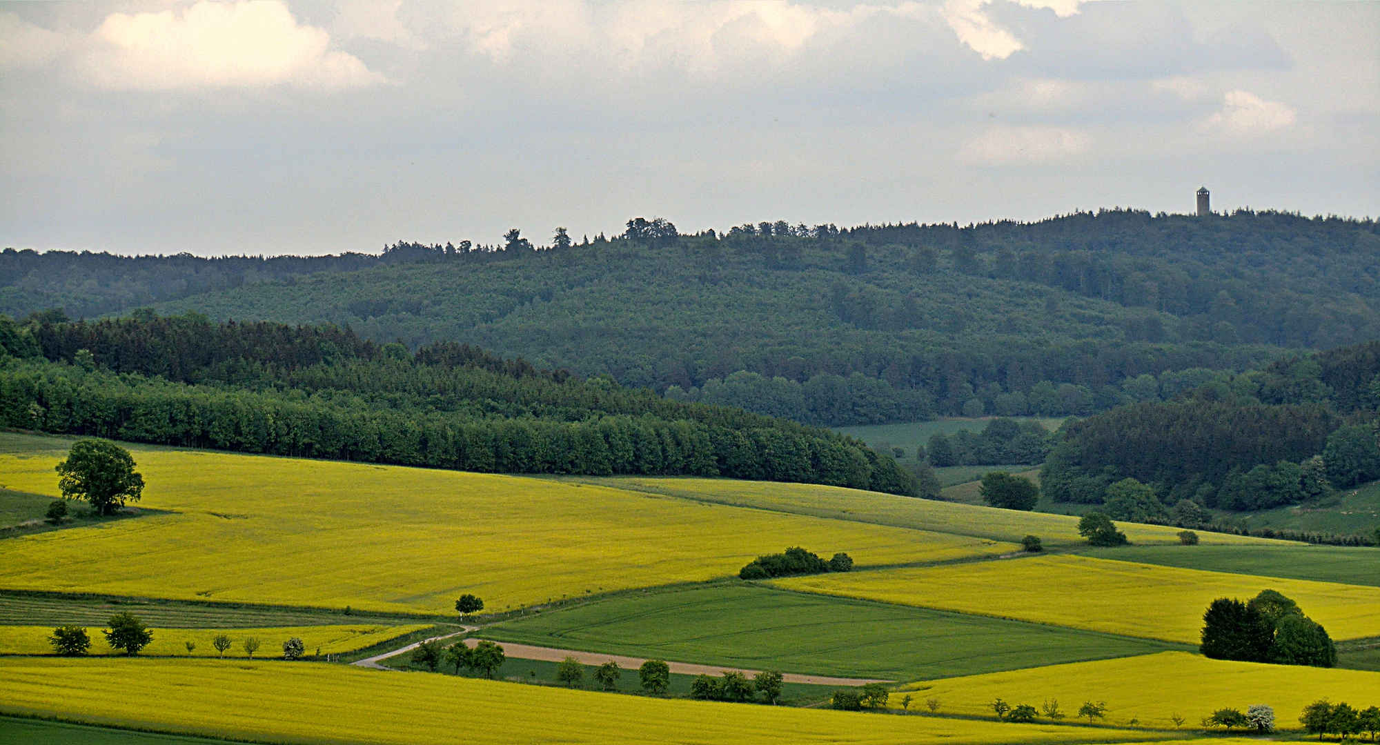 Gelbe Felder .. Foto & Bild | landschaft, Äcker, felder & wiesen, im ...