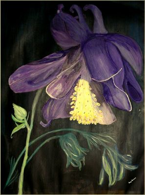 henry hermann - Fotos & Bilder - Fotograf aus Hamburg, Deutschland ...