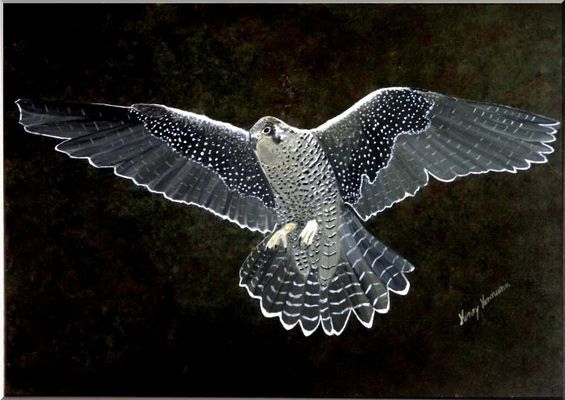 henry hermann - Fotos & Bilder - Fotograf aus Hamburg, Deutschland ...