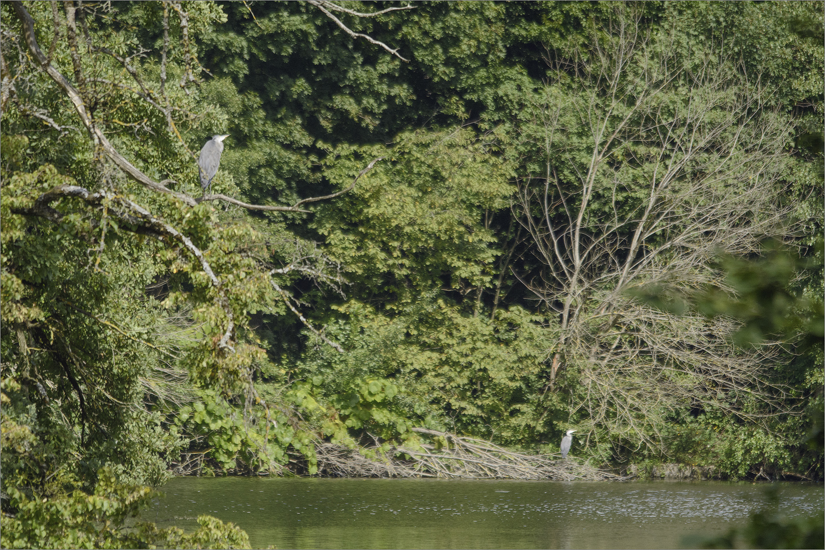 Gemeinsam Foto & Bild | park, münchen, natur Bilder auf fotocommunity