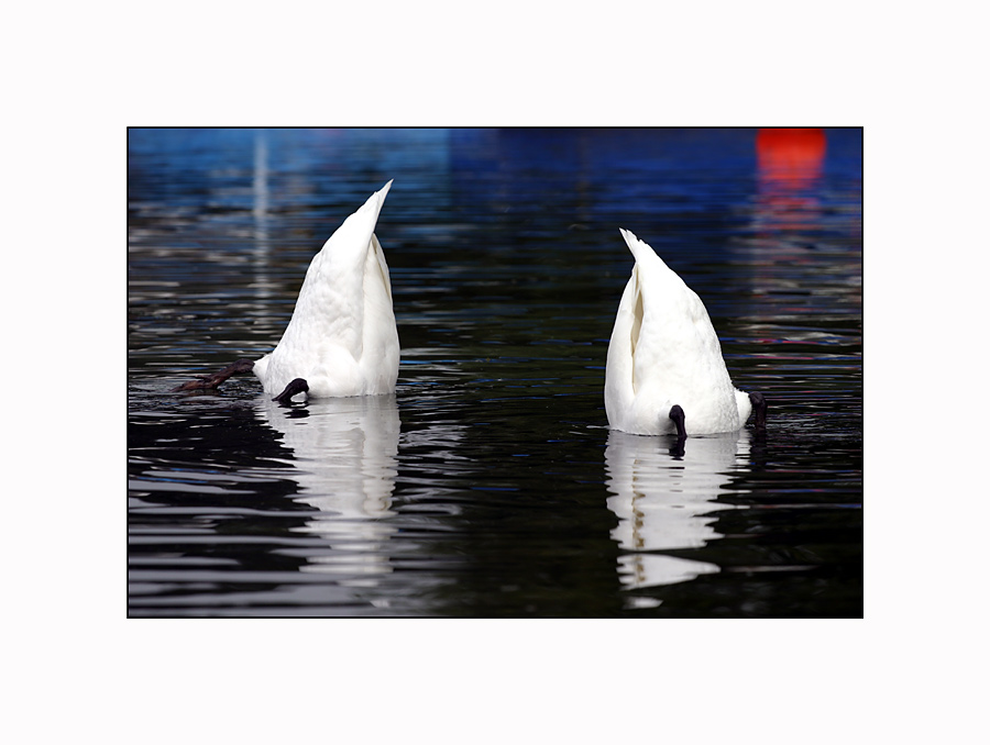 Gemeinsam mit Dir untergehen Foto & Bild | emotionen, spezial Bilder ...