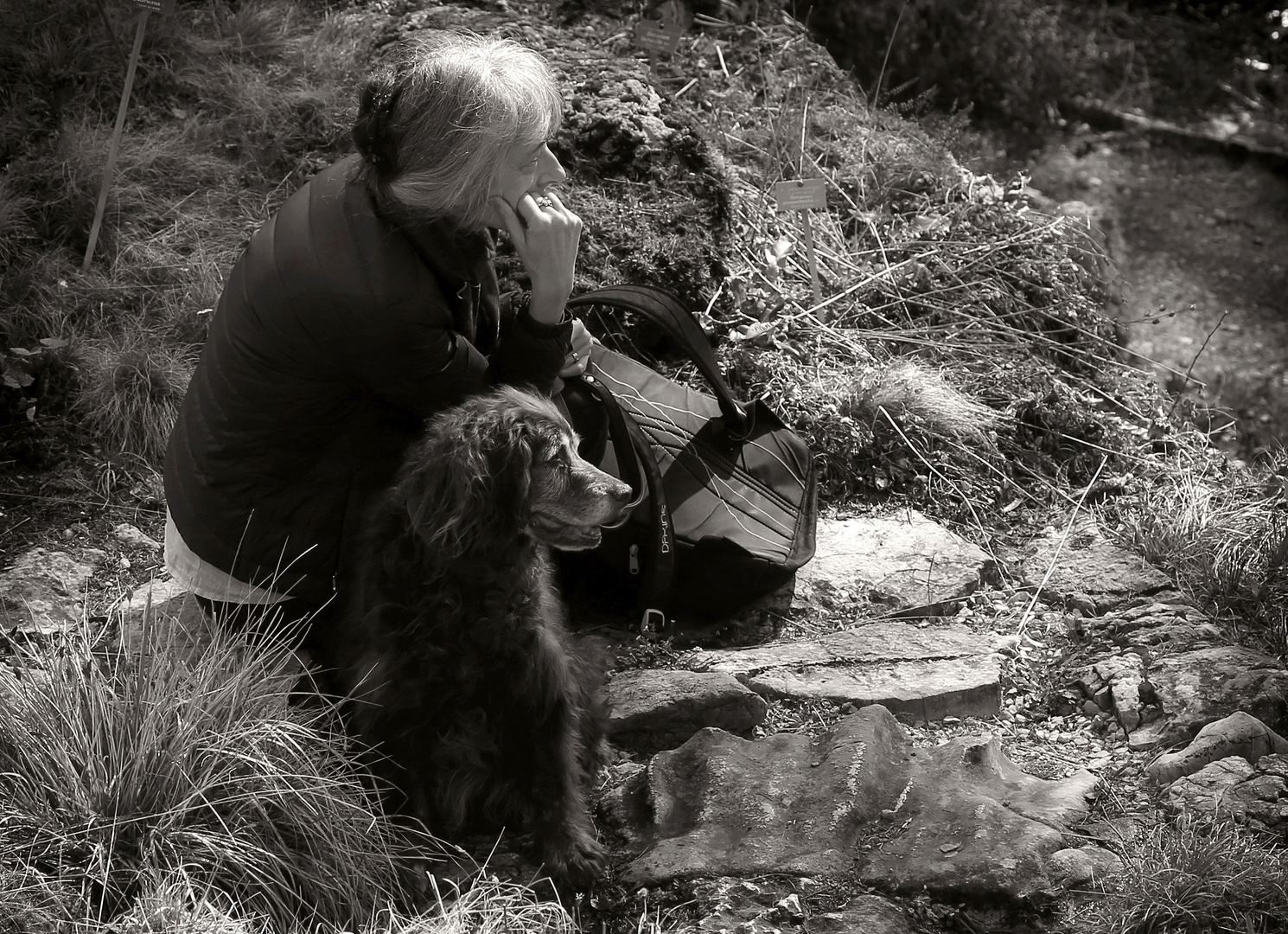 Gemeinsames Beobachten Foto & Bild | erwachsene menschen ...