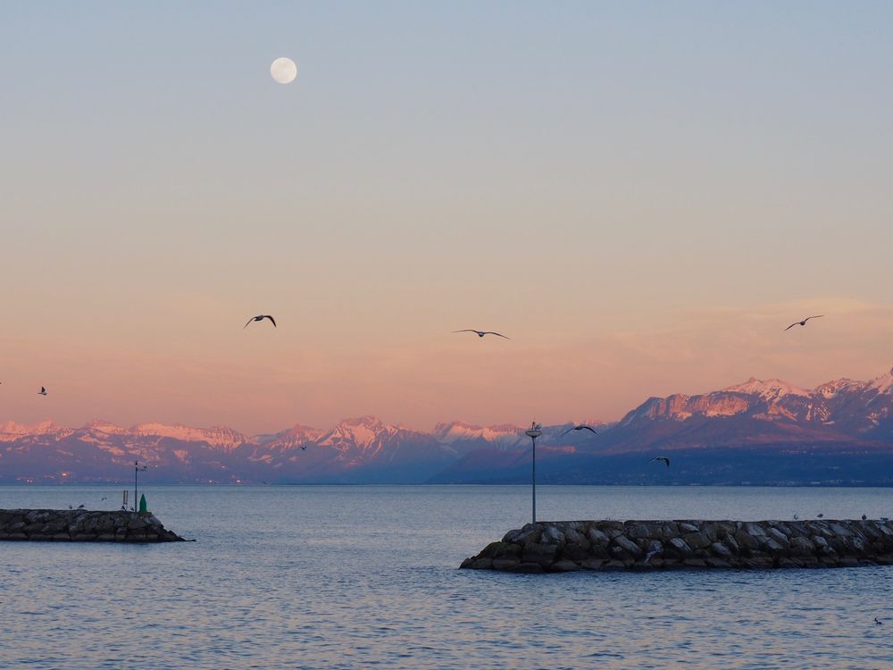 Genfer See 2 Foto & Bild | sonnenuntergang, natur, schweiz Bilder auf ...
