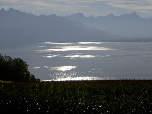 Alexandra Bruni - Fotos & Bilder - Fotografin aus Genf, Schweiz ...